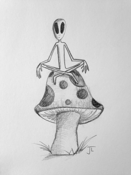 Shroom Drawings