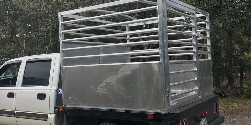 Donkeys - Big E Livestock and Donkeys