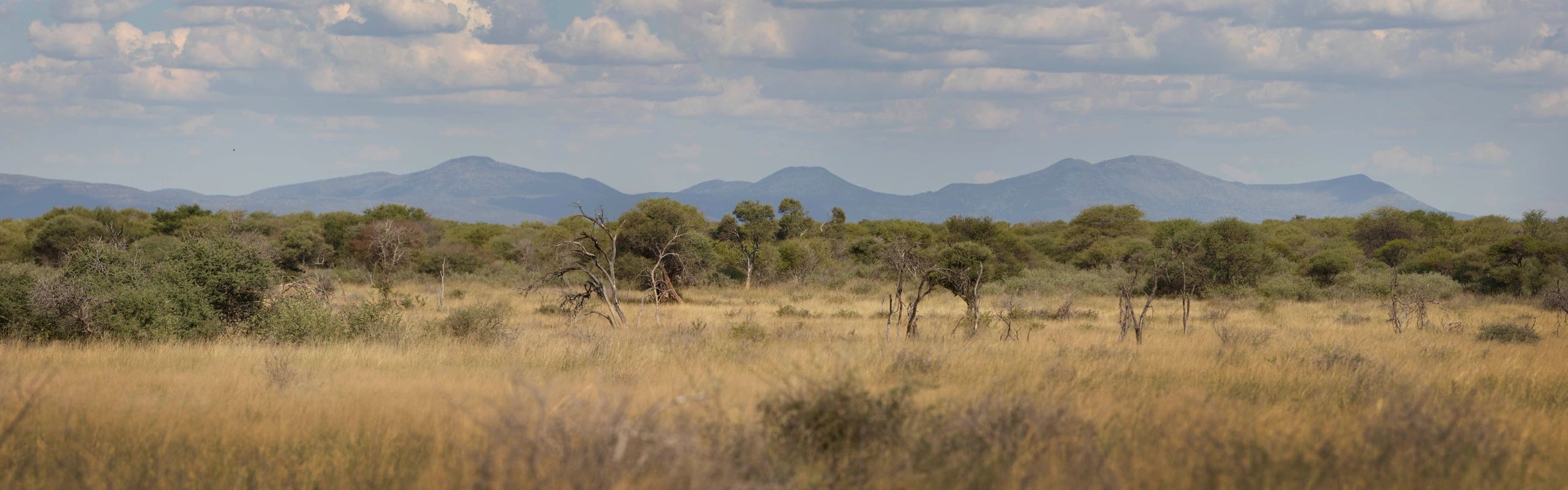 Thaba Tholo - Conservation, Game Farm, Sustainability