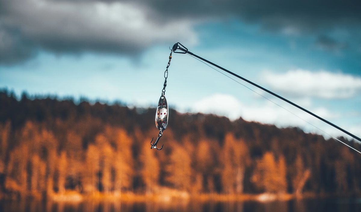 Armed Anglers guns bait tackle lures charters fish ammo clothing