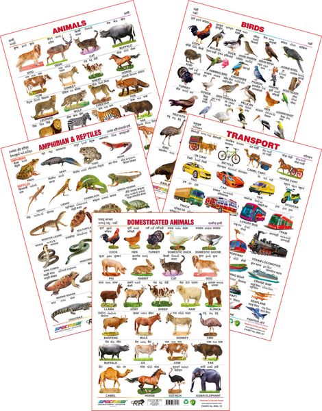 Spectrum Educational Wall Charts (Set of 5) : (Animals, Birds ...