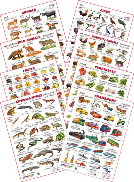 Spectrum Educational Mini Wall Chart (Set of 8) : ( Animals , Birds ...