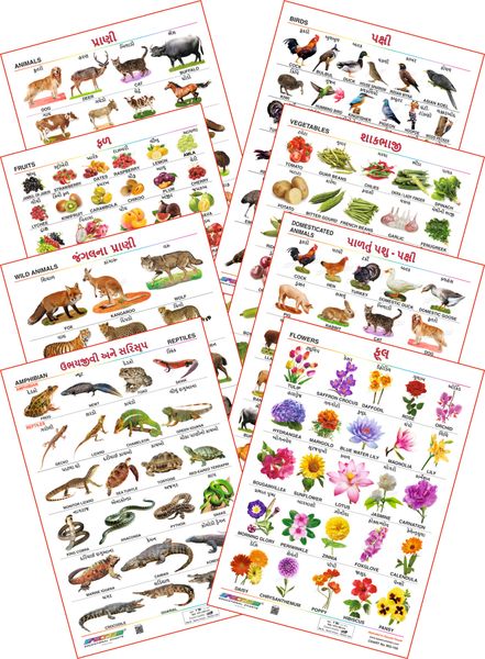 Spectrum Educational Mini Wall Chart (Set of 8) :( Animals , Birds ...
