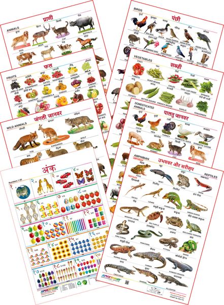 Spectrum Educational Mini Wall Chart (Set of 8) : ( Animals , Birds ...