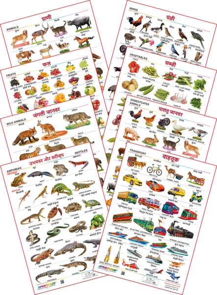 Spectrum Educational Mini Wall Chart (Set of 8) :( Animals , Birds ...