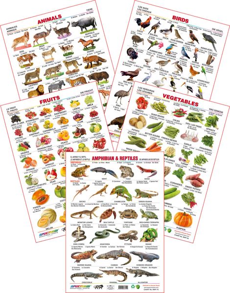 Spectrum Educational Wall Charts (Set of 5) : (Animals, Birds, Fruits ...