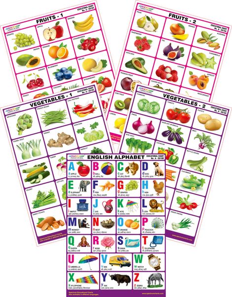 Spectrum Mirror Coat Educational Charts (Set of 5) : Set 48 ( English ...