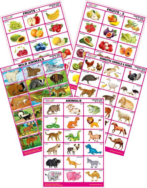 Spectrum Mirror Coat Educational Charts (Set of 5) : Set 58 ( Animals ...