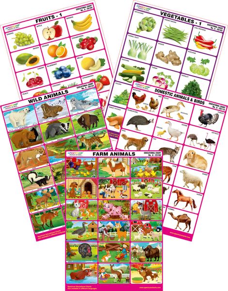 Spectrum Mirror Coat Educational Charts (Set of 5) : Set 68 ( Farm ...