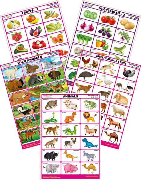 Spectrum Mirror Coat Educational Charts (Set of 5) : Set 70 ( Animals ...