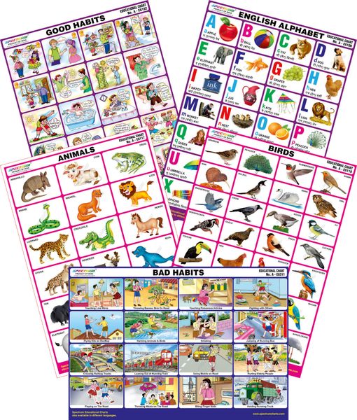 Spectrum Mirror Coat Educational Charts (Set of 5) : Set 81 ( English ...