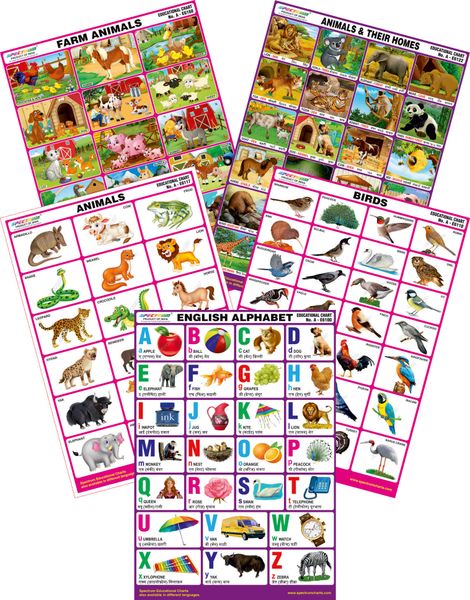 Spectrum Mirror Coat Educational Charts (Set of 5) : Set 83 ( English ...