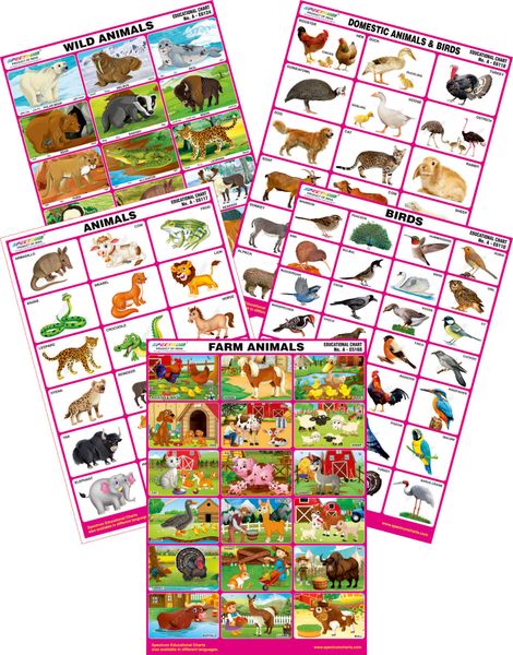 Spectrum Mirror Coat Educational Charts (Set of 5) : Set 93 ( Farm ...