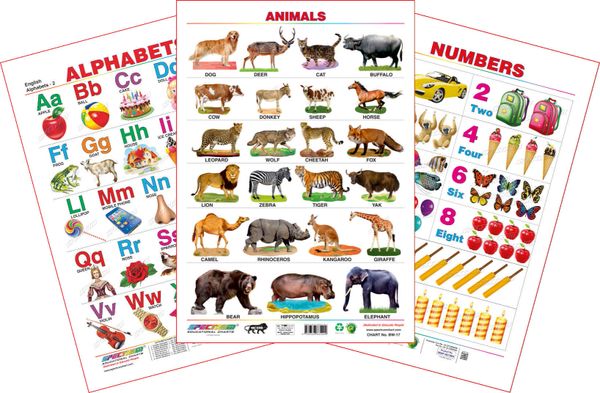 Spectrum Educational Large Wall Charts (Set of 3) : ( English Alphabet ...
