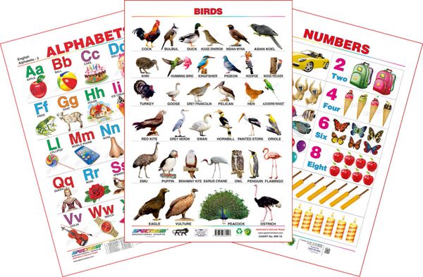 Spectrum Educational Large Wall Charts (Set of 3) : ( English Alphabet ...