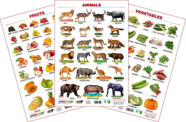 Spectrum Educational Large Wall Charts (Set of 3) : ( Animals , Fruits ...
