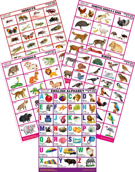 Spectrum Mirror Coat Educational Charts (Set of 5) : Set 120 ( English ...