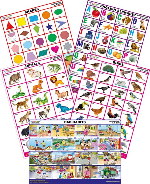 Spectrum Mirror Coat Educational Charts (Set of 5) : Set 122 ( English ...