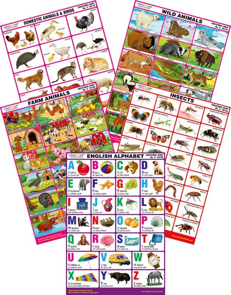 Spectrum Mirror Coat Educational Charts (Set of 5) : Set 127 ( English ...
