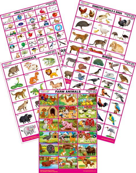 Spectrum Mirror Coat Educational Charts (Set of 5) : Set 137 ( Farm ...