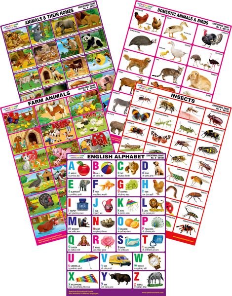 Spectrum Mirror Coat Educational Charts (Set of 5) : Set 140 ( English ...