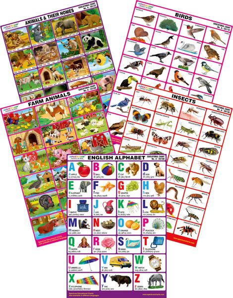 Spectrum Mirror Coat Educational Charts (Set of 5) : Set 142 ( English ...