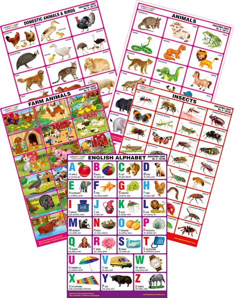Spectrum Mirror Coat Educational Charts (Set of 5) : Set 145 ( English ...
