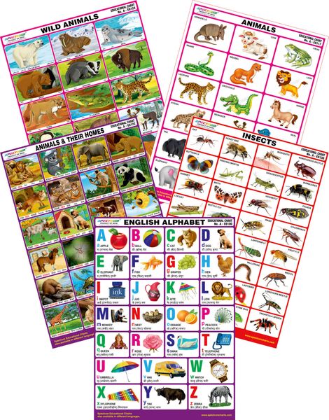 Spectrum Mirror Coat Educational Charts (Set of 5) : Set 147 ( English ...