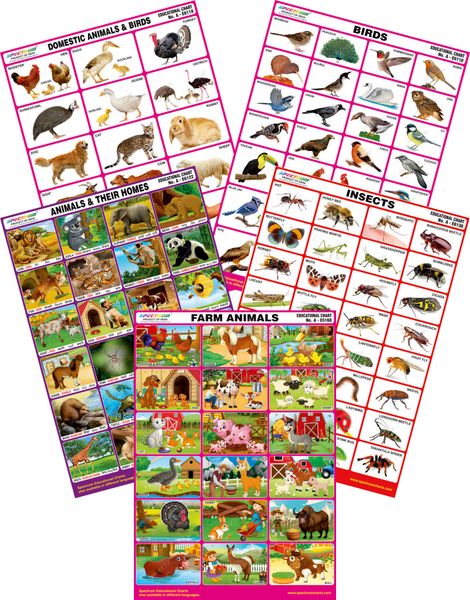 Spectrum Mirror Coat Educational Charts (Set of 5) : Set 154 ( Farm ...