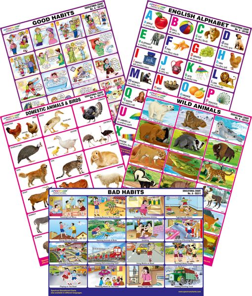 Spectrum Mirror Coat Educational Charts (Set of 5) : Set 157 ( English ...