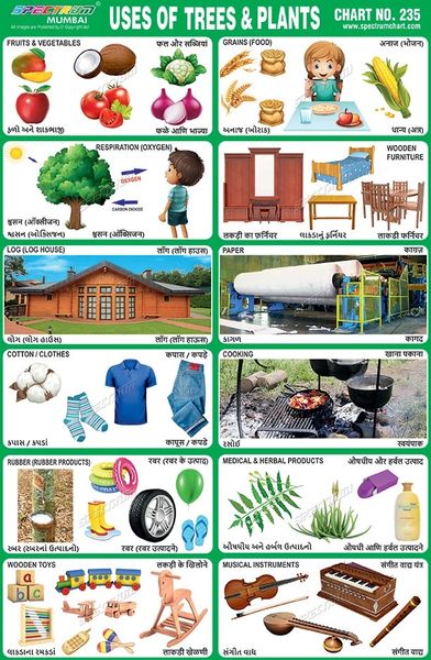 chart-no-235-uses-of-trees-plants
