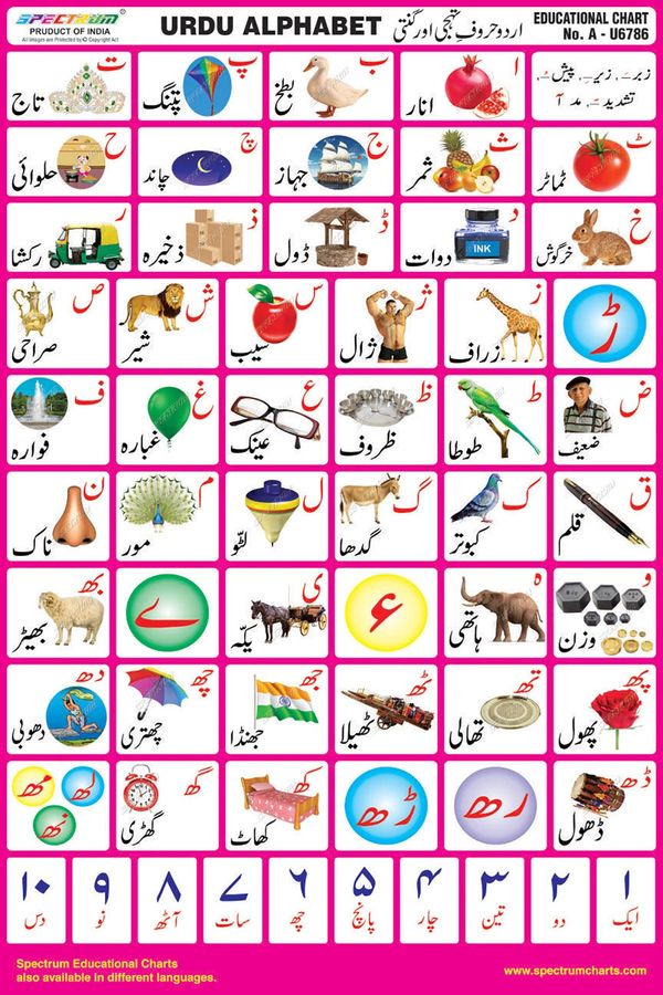 Urdu Alphabet Poster