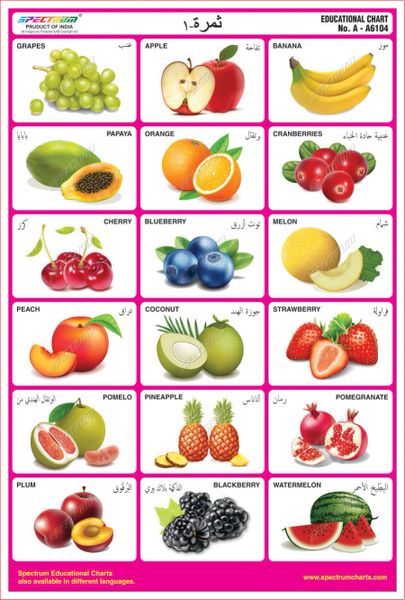 ثمرة -١ (Fruits-1) (Arabic)