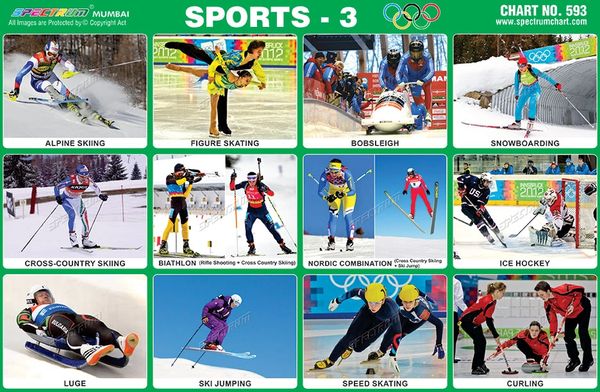 Chart No. 593 - Sports - 3