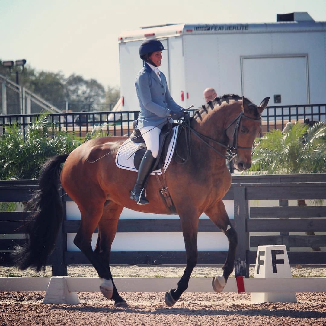 The Rider Project - Equestrian, Horseback Riding, Equestrian, Horse