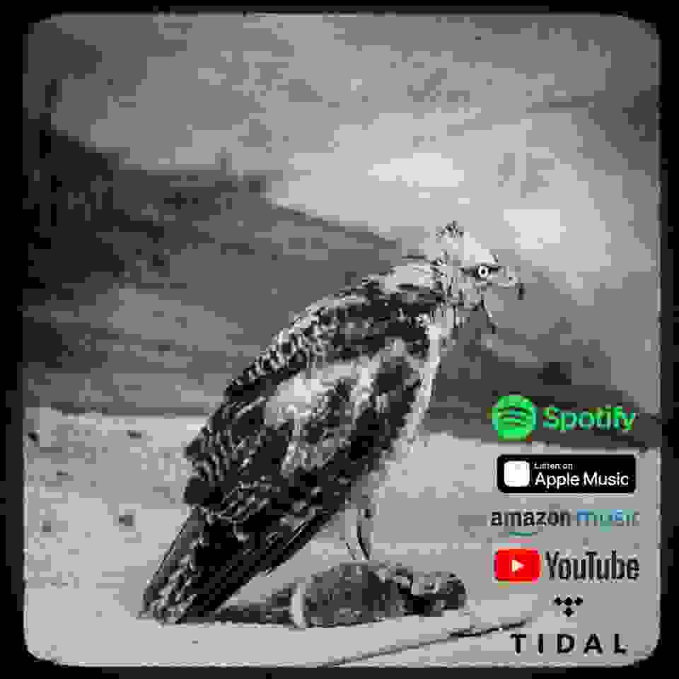 Blind Melon Home Blind Melon