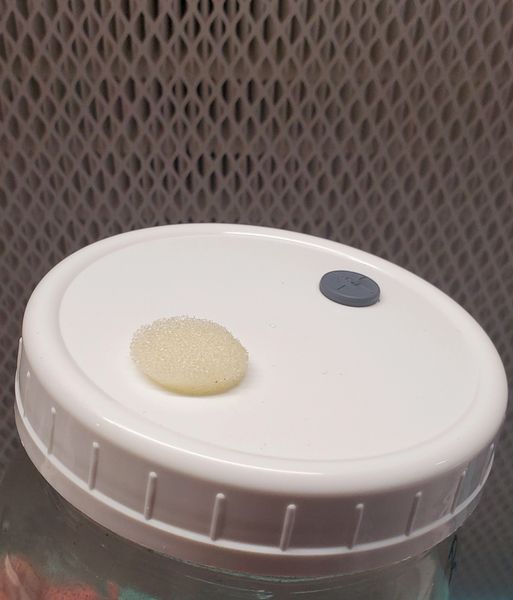 Injection Port Filter Lids