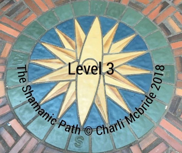 The Shamanic Path Level 3 -Pay in Full