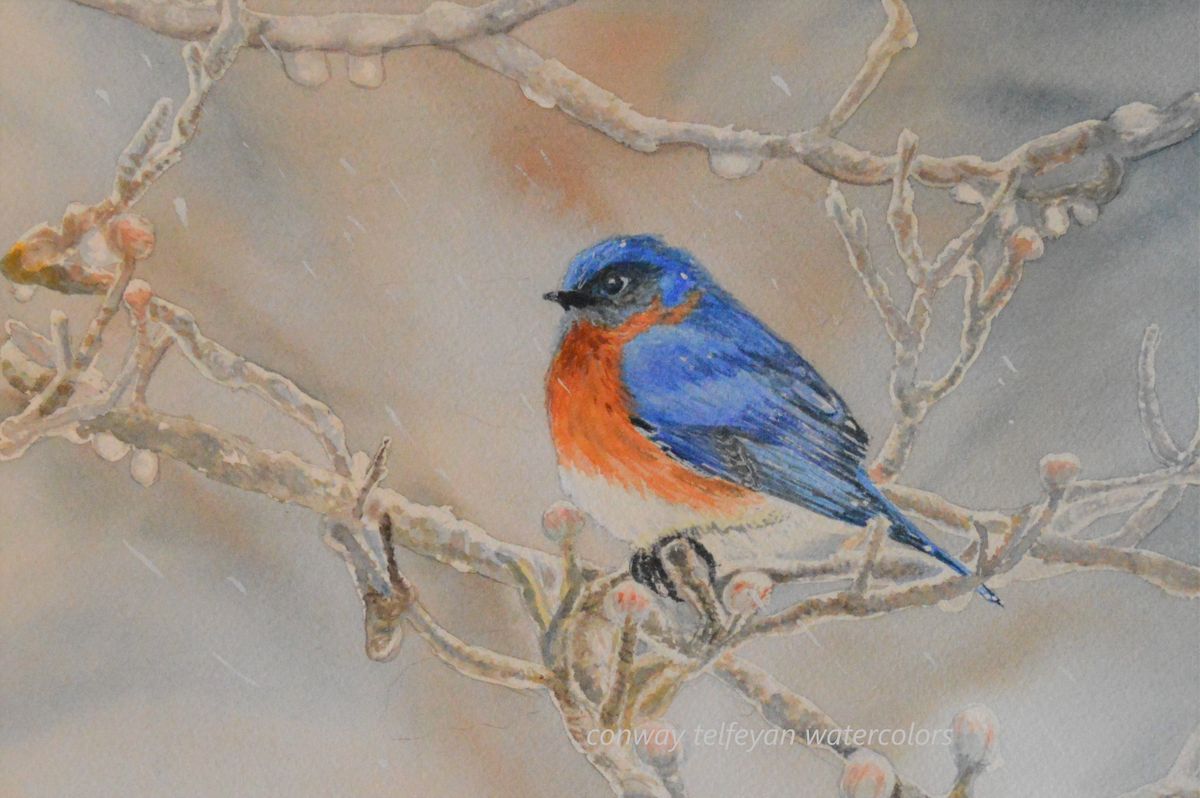 "Bluebird on Ice"
