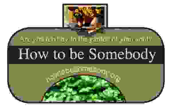 Read e-book | How To Be Somebody by Mark Mendes