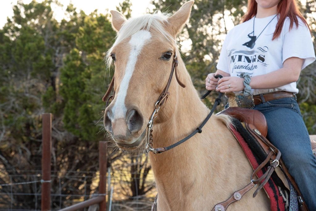 Angel Wings Ranch - Equine-Assisted Learning - Salado, Texas