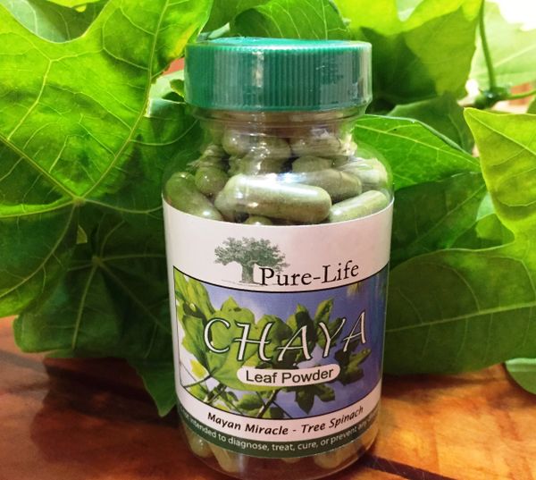 Chaya Supplements