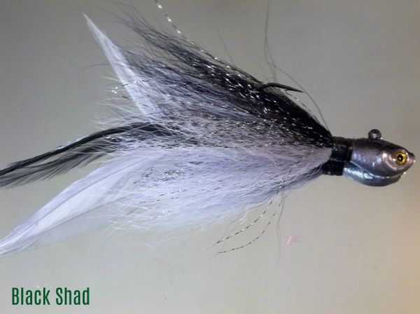 Black Shad
