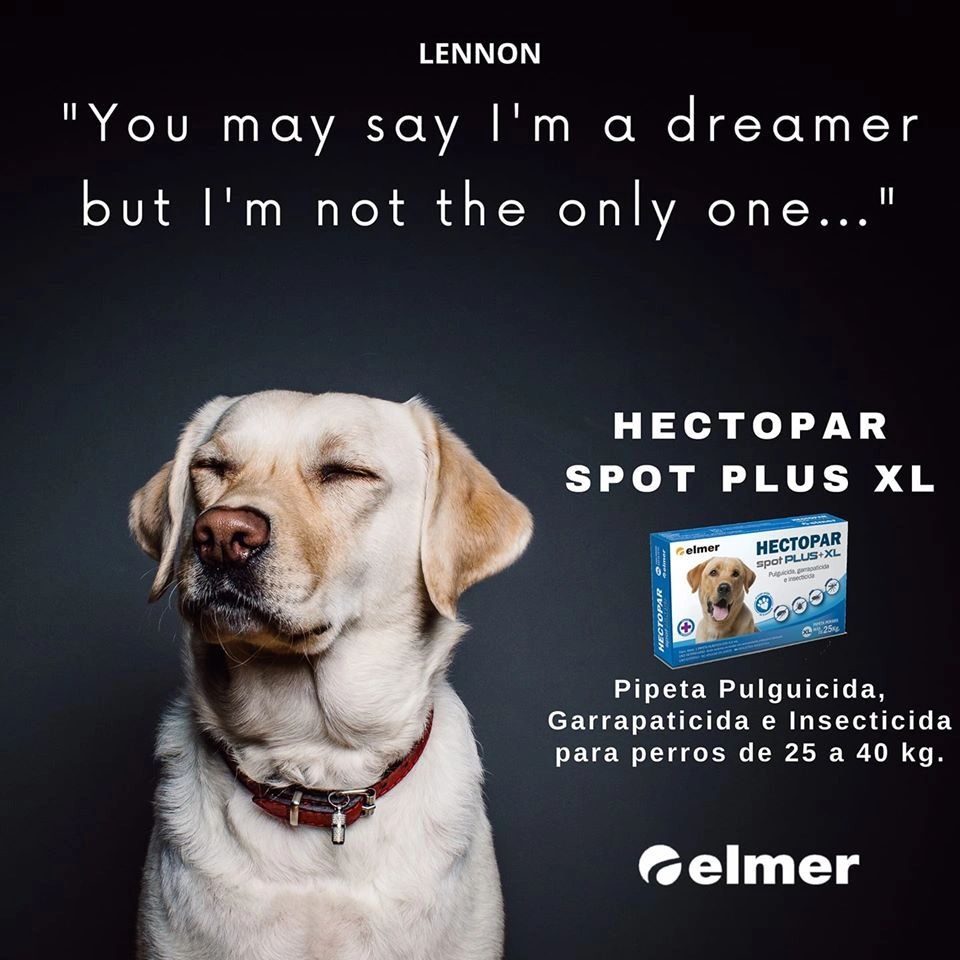 Hectopar Spot Plus XL