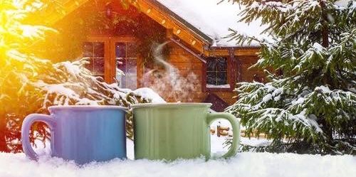 The Great Canadian Tea Company