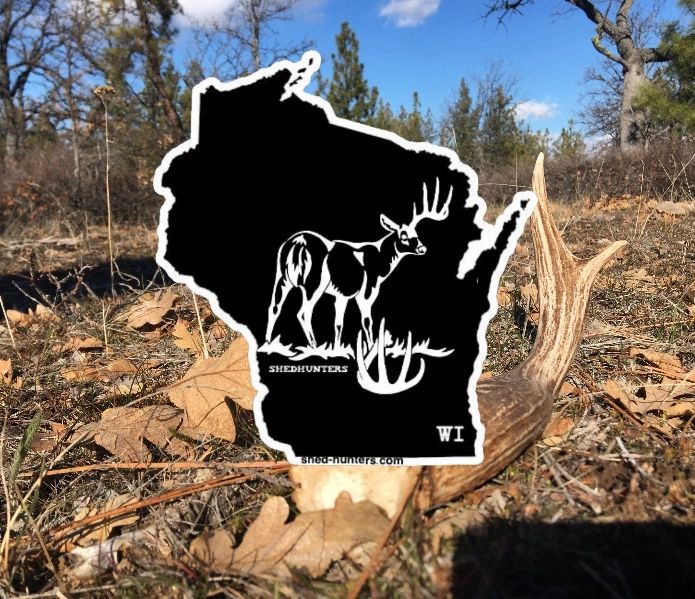 Wisconsin Whitetail Shed Hunting decal