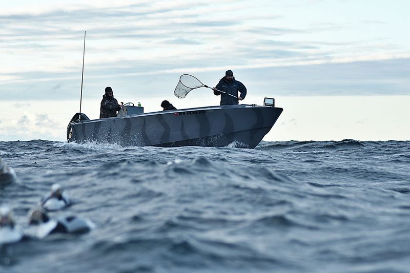 Layout Boats and Gear, Diver and Sea Duck Hunting