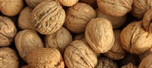 Walnuts In shell 3 lbs