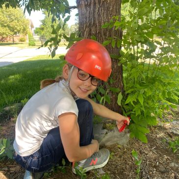 We Love Trees Inc.