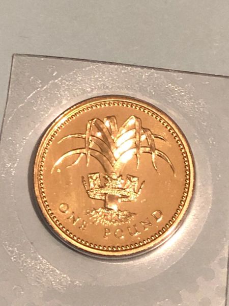 1985 £1 Old Style Round One Pound Coin Welsh Leek in Coronet ...